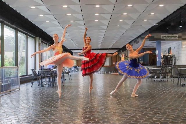 Parent Portal - Draper Center for Dance Education